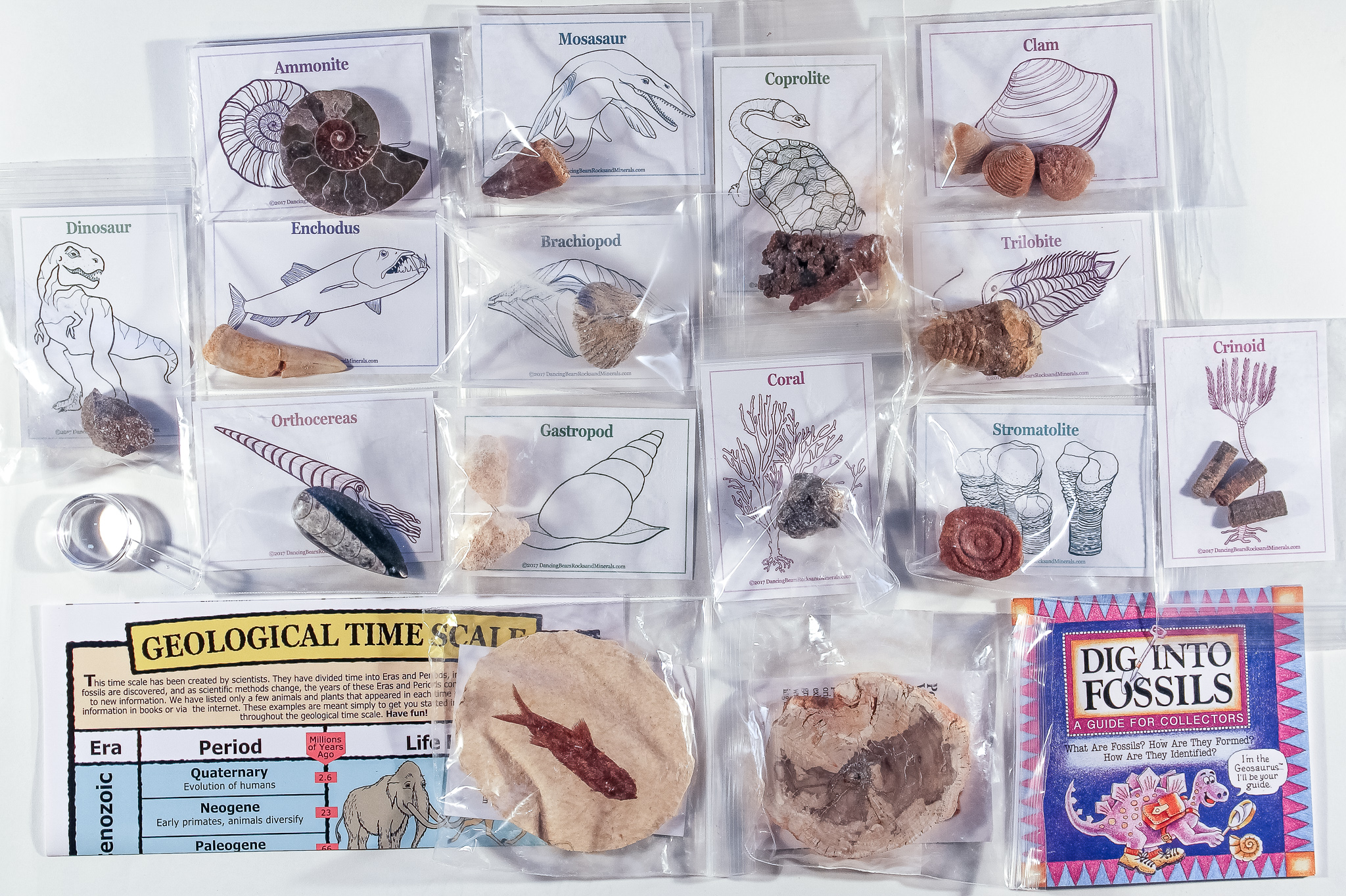 Special Collections – Community Library